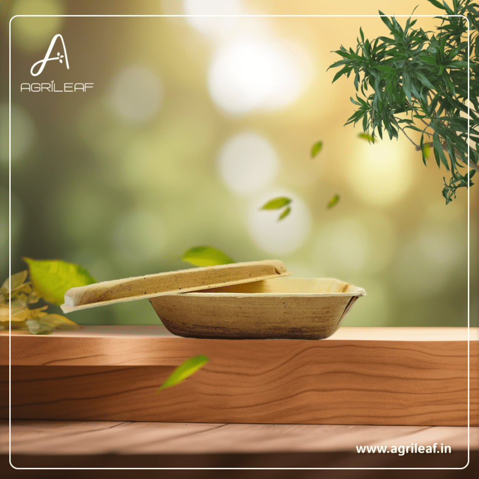 New Takeaway Palm Leaf Container with Lid